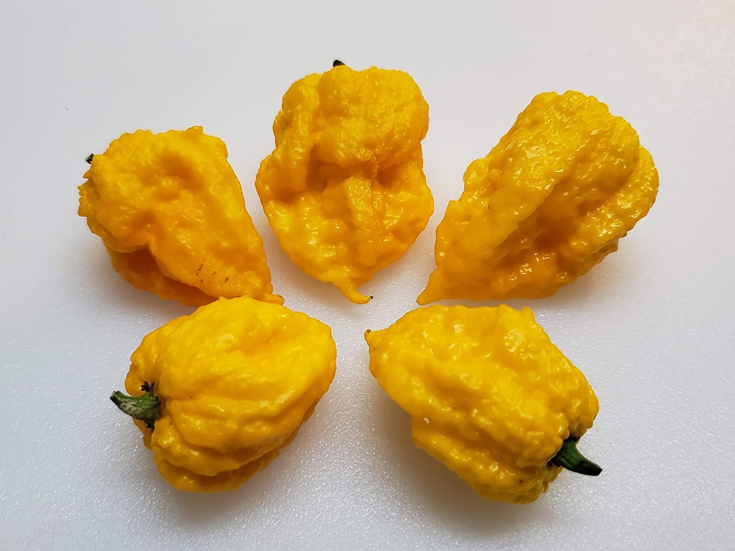 Yellow Fever Chili Pepper – An In-Depth Profile – SpiceQuest